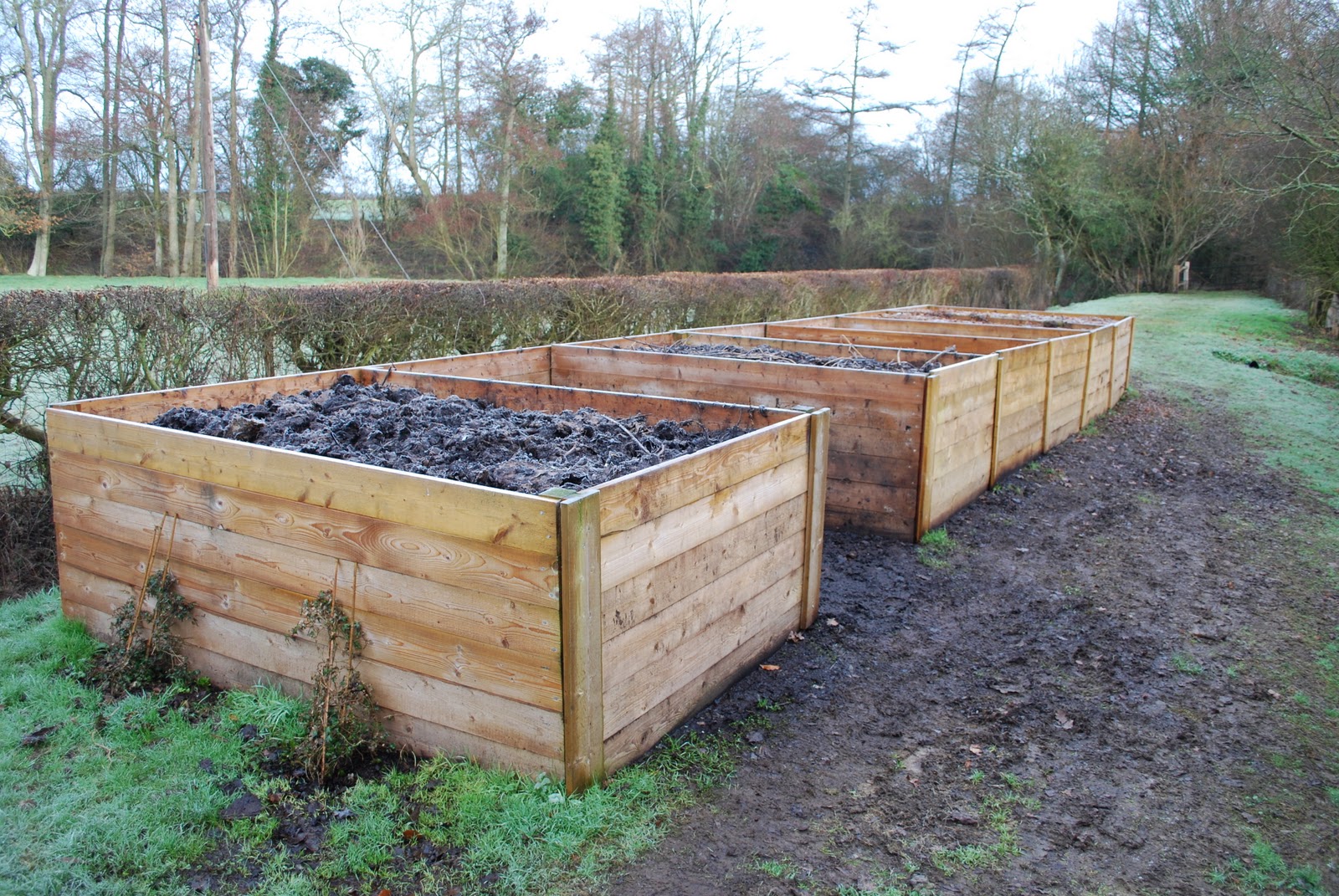 Compost, Compost and Yet More Compost | The Anxious Gardener