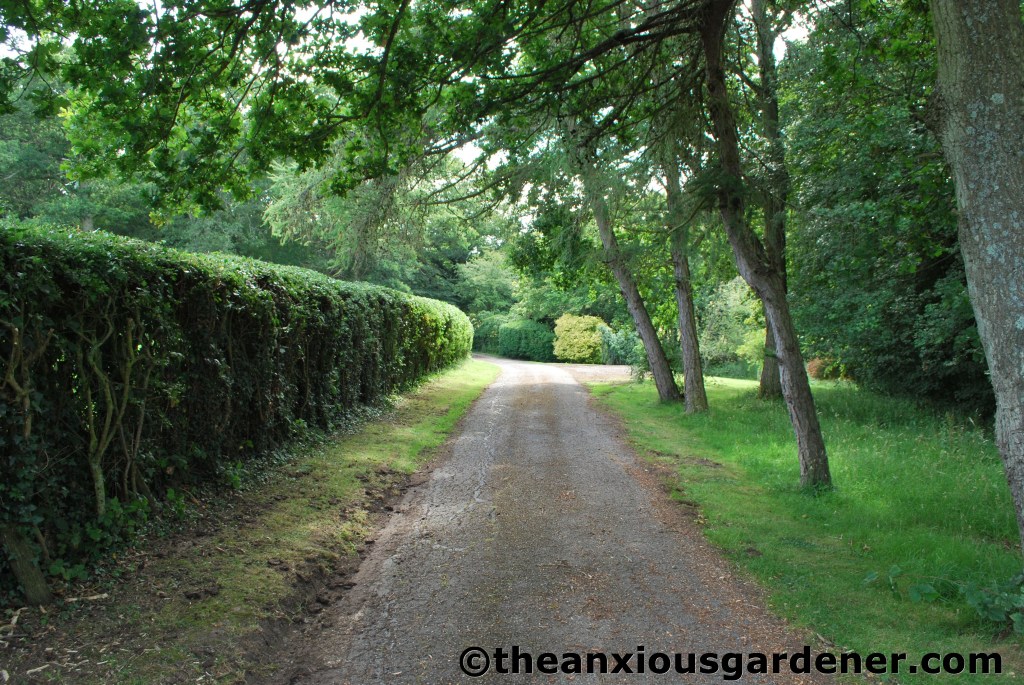 The Mixed Hedging | The Anxious Gardener