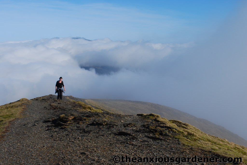 Cloud Walking In The Lake District | The Anxious Gardener