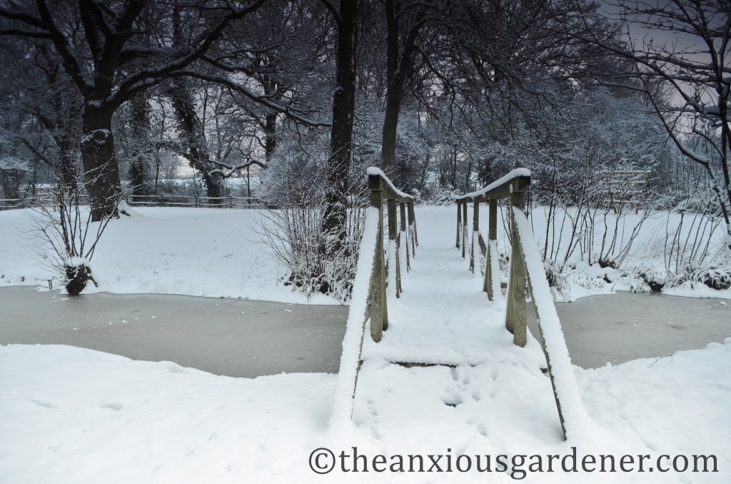 A Look Back At Winter | The Anxious Gardener
