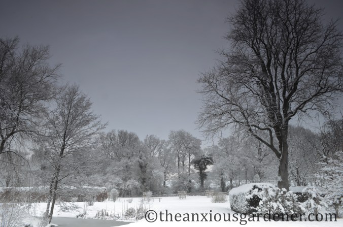 A Look Back At Winter | The Anxious Gardener