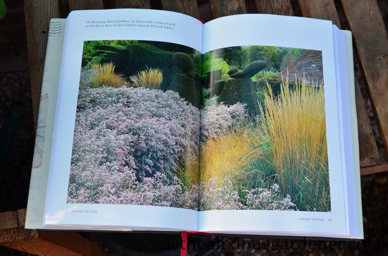 Dear Friend And Gardener – A Book Review | The Anxious Gardener