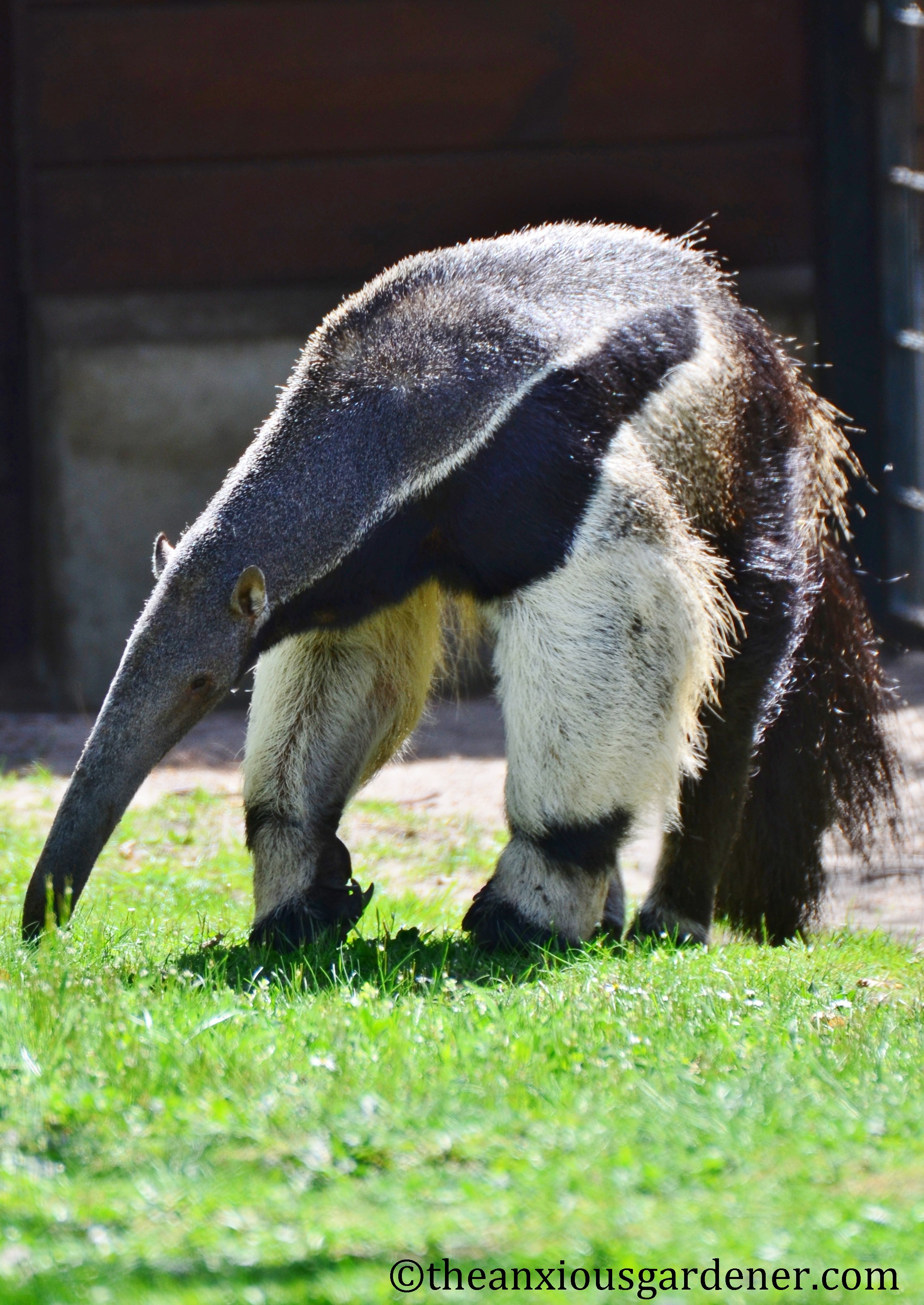 Berlin Zoo | The Anxious Gardener