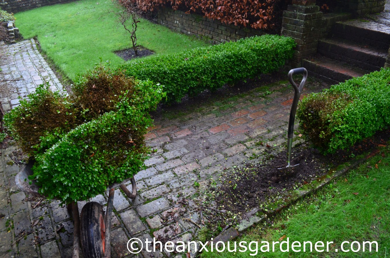 Blight, Rain and Flood | The Anxious Gardener