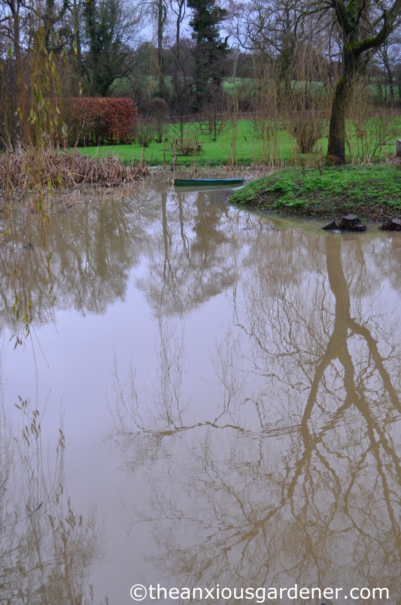 Blight, Rain and Flood | The Anxious Gardener
