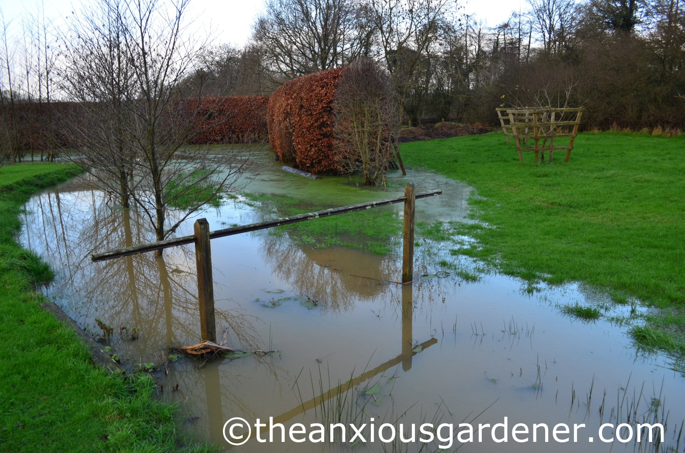 Blight, Rain and Flood | The Anxious Gardener