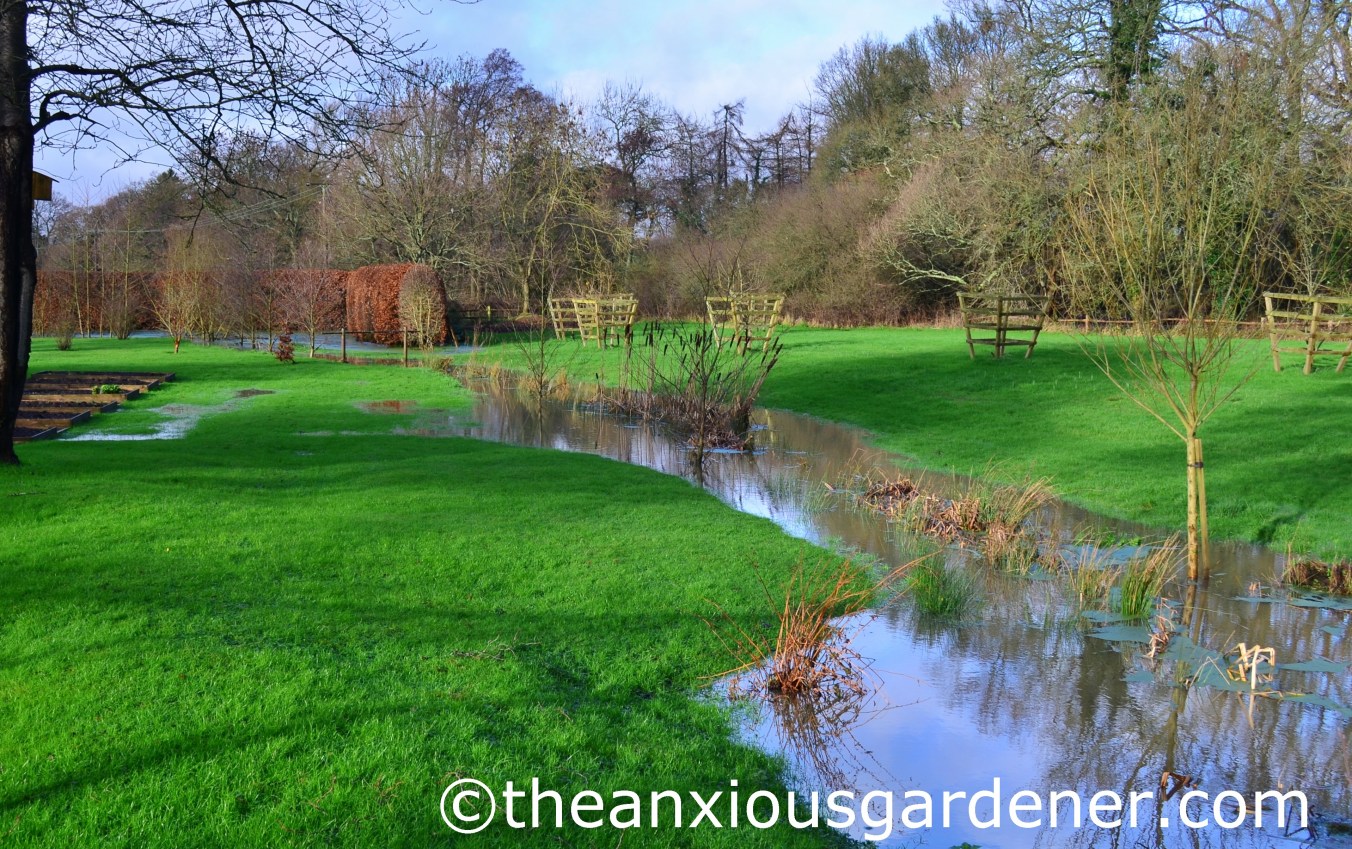 Blight, Rain and Flood | The Anxious Gardener
