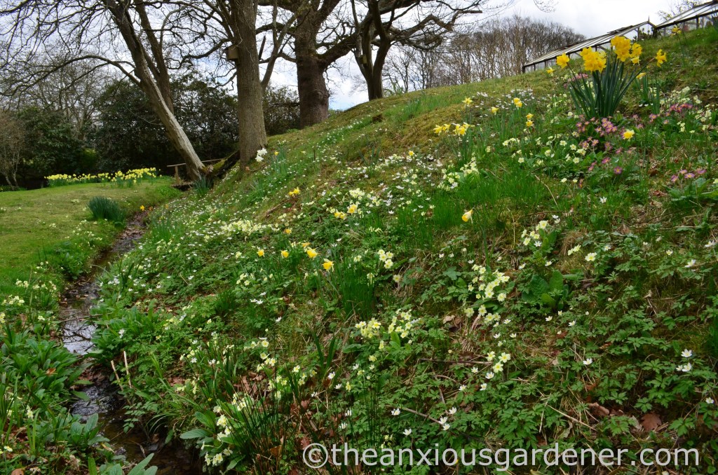 An End To March | The Anxious Gardener