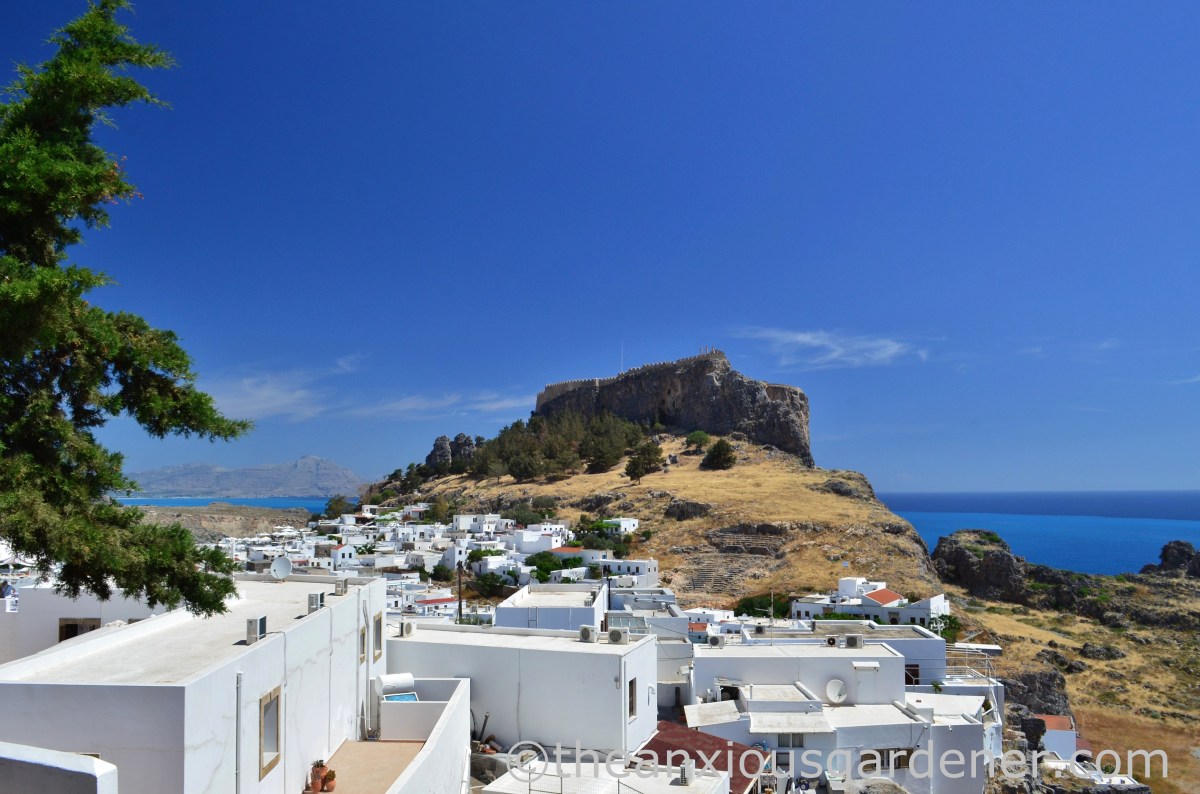 A Postcard From Lindos, Rhodes | The Anxious Gardener