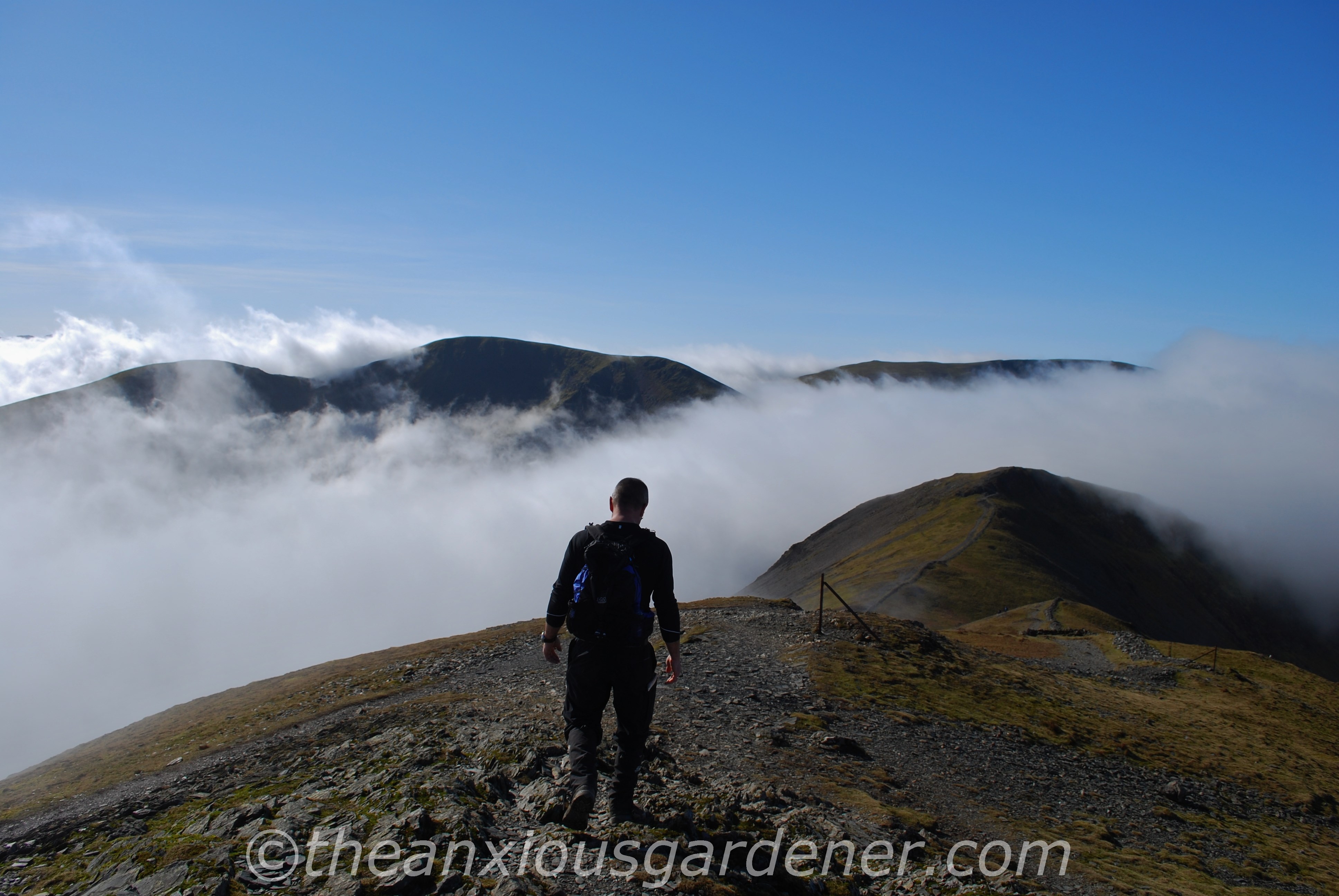 A Choice of Paths | The Anxious Gardener